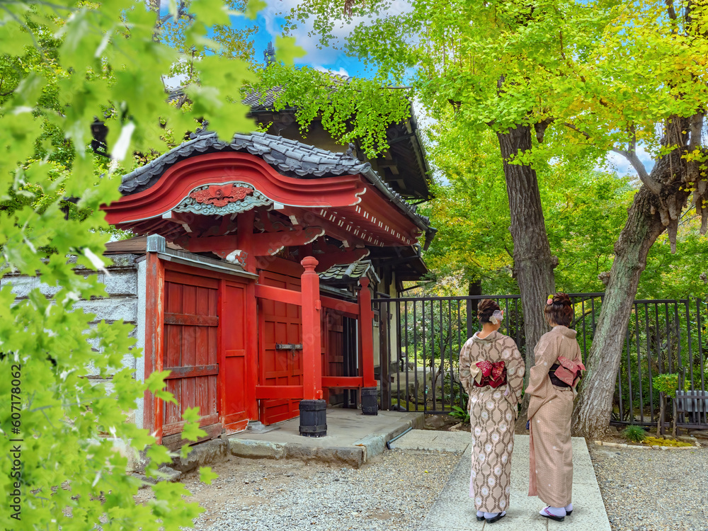 Culture of Japan. Geishas in Tokyo. Women in Japanese dresses ...