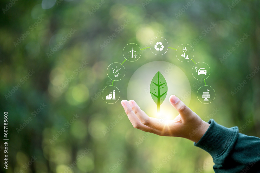 Hand holding green leaf with icons energy sources for renewable ...