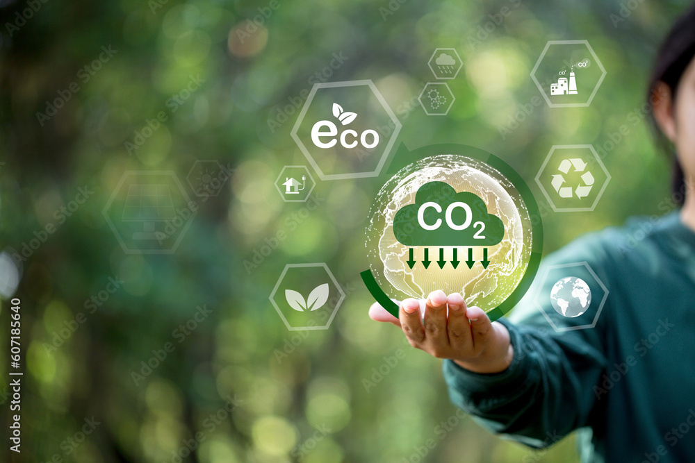 Developing sustainable CO2 concepts and low reduce CO2 emissions and ...