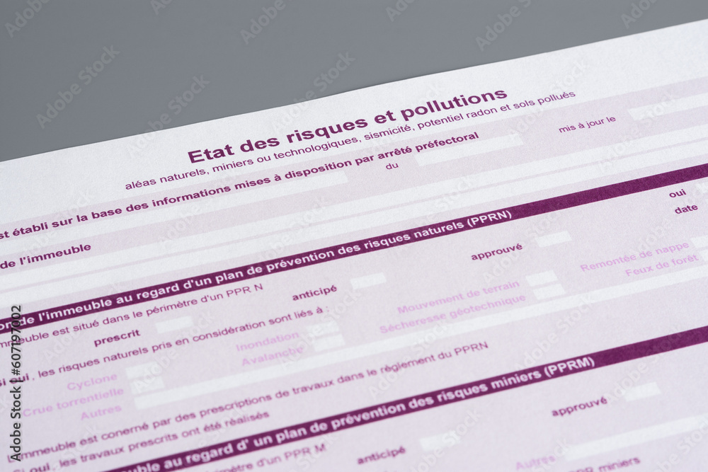 Etat des Risques et Pollutions (ERP). Diagnostic obligatoire en France ...