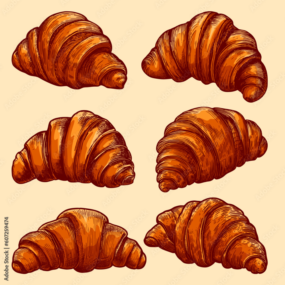 French Croissant Drawing