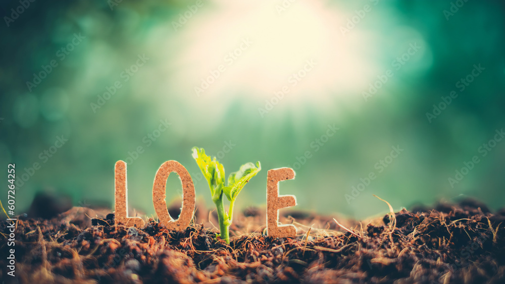 close up Wooden text love blurred green nature background.growing plant ...