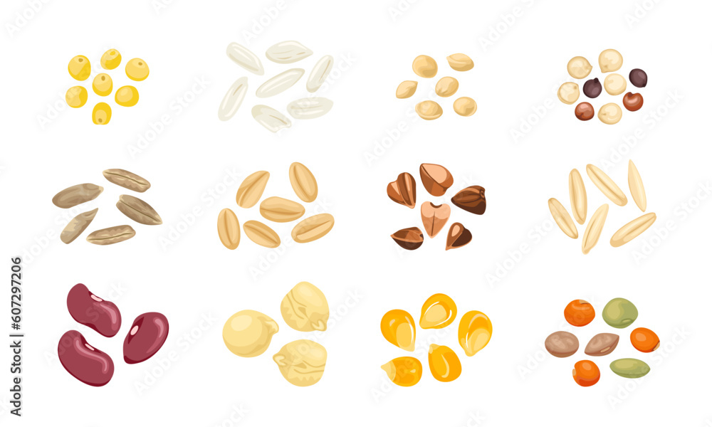 Set of different cereal grains, seeds and legumes. Vector cartoon ...