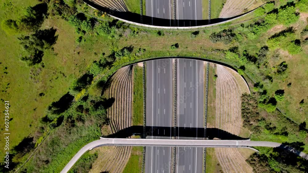 Vidéo Stock Top down descending aerial of freeway traversed by wildlife ...