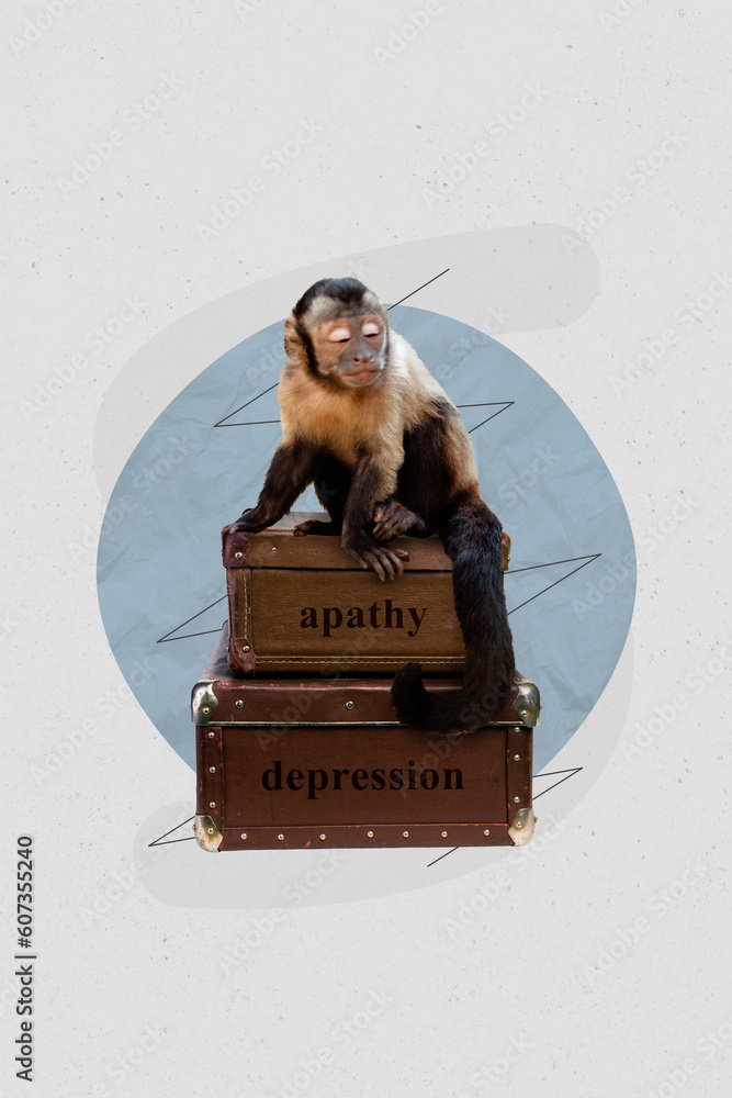 Stressed Monkey
