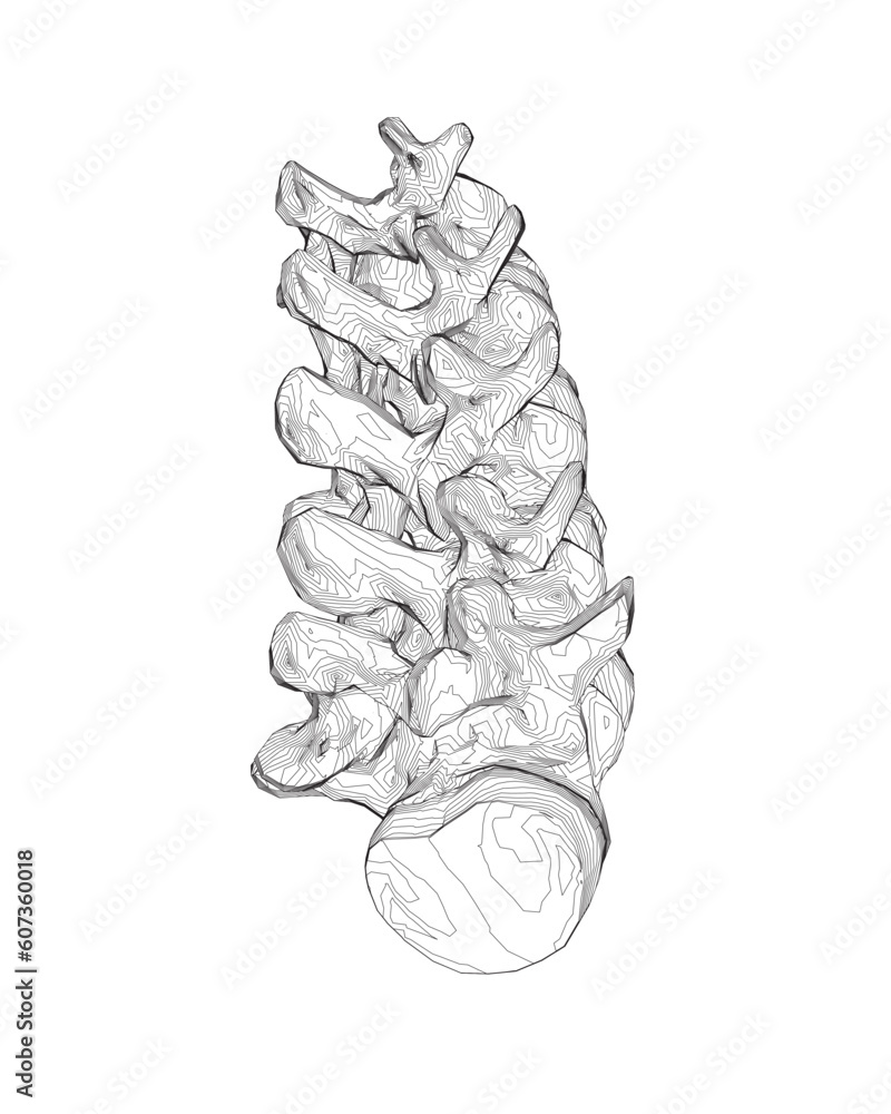 Vector illustration spine diagnostic symbol, design, sign. Vector icon ...