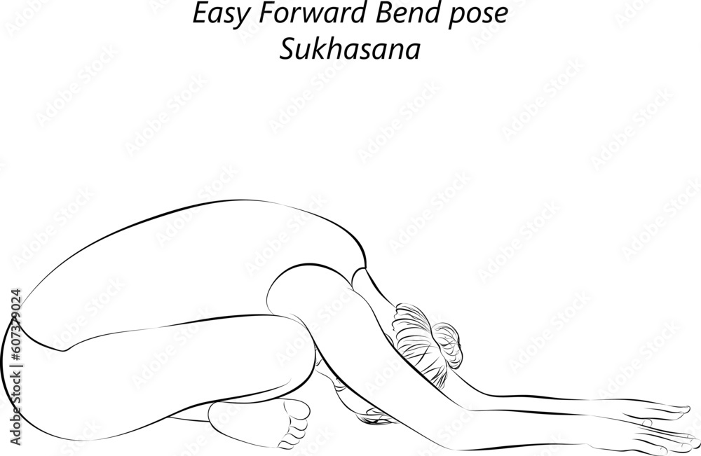 Sketch of young woman practicing yoga, doing Easy Forward Bend pose ...
