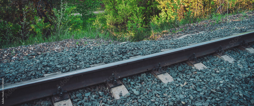 Railroad along trees. Railway on green vegetation background with copy ...