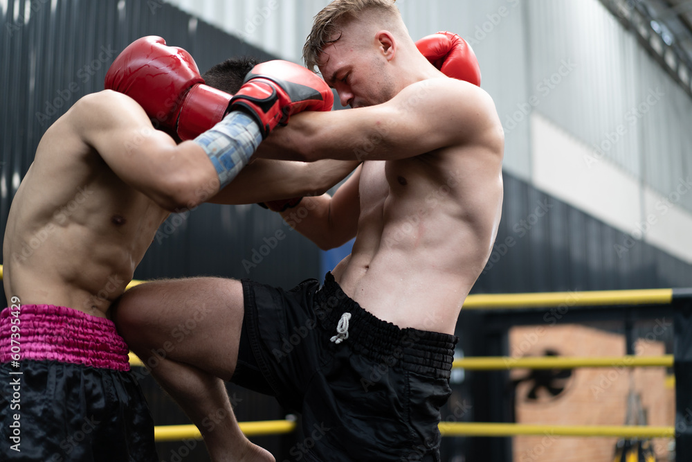 Two male athlete boxing competition in ring. Diverse ethnic men kick ...
