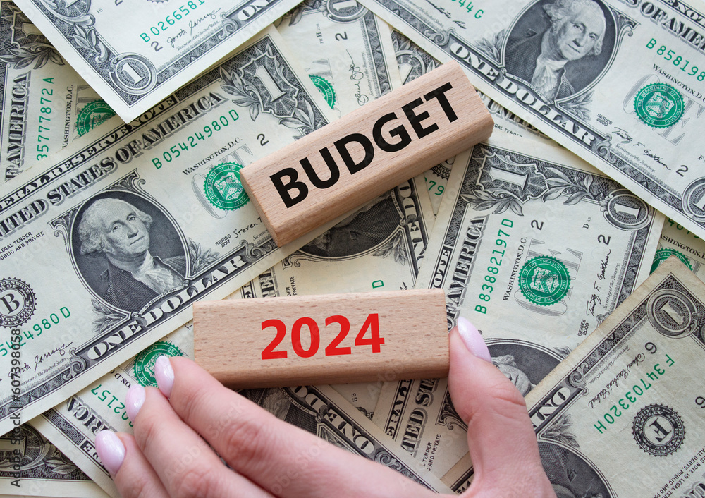 Budget 2024 symbol. Wooden blocks with words Budget 2024. Businessman ...
