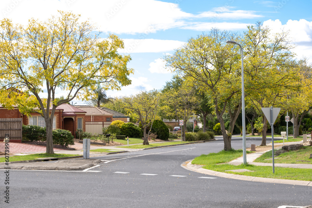 A typical suburban street with beautiful trees and houses lined along ...