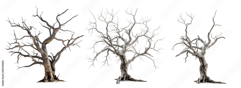 Dead trees with branches isolated. PNG element, Generative AI Stock ...