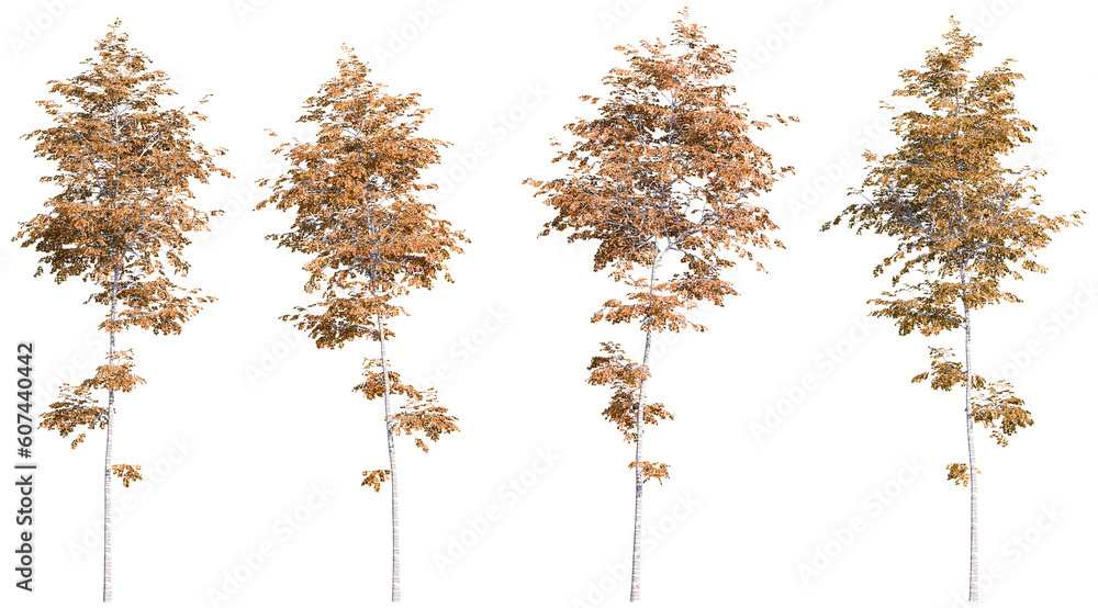 Photorealistic 3D render of trees in autumn on transparent background ...