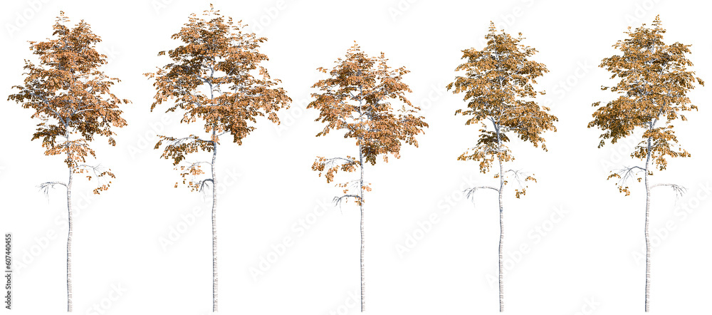 Photorealistic 3D render of trees in autumn on transparent background ...