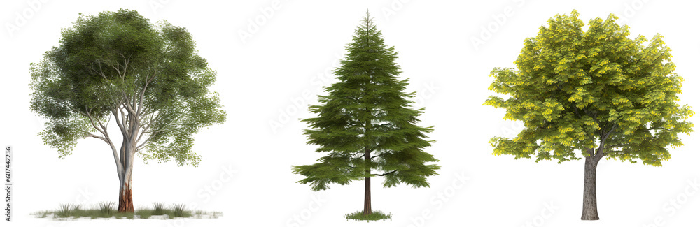 Collection of trees isolated on transparent background, Generative Ai ...