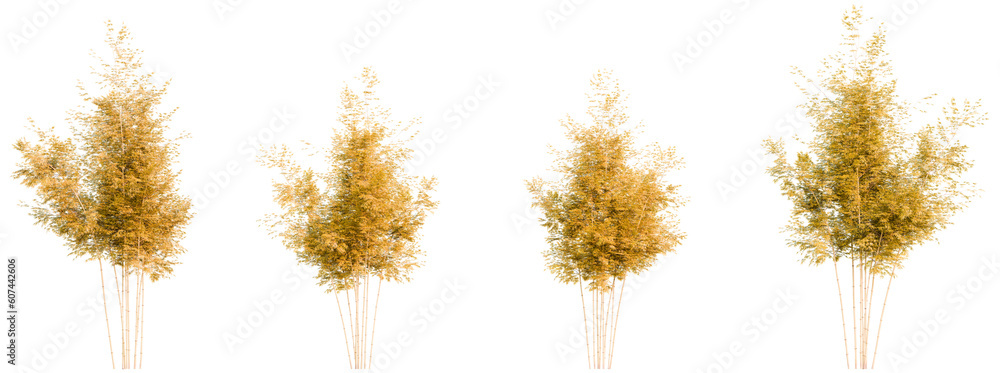 Photorealistic 3D render of trees in autumn on transparent background ...