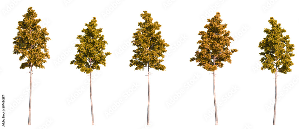 Photorealistic 3D render of trees in autumn on transparent background ...