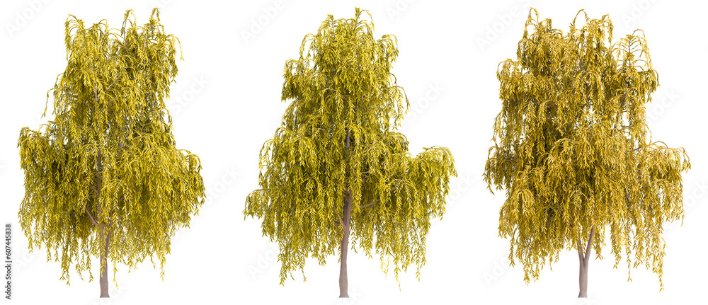 Photorealistic 3D render of trees in autumn on transparent background ...