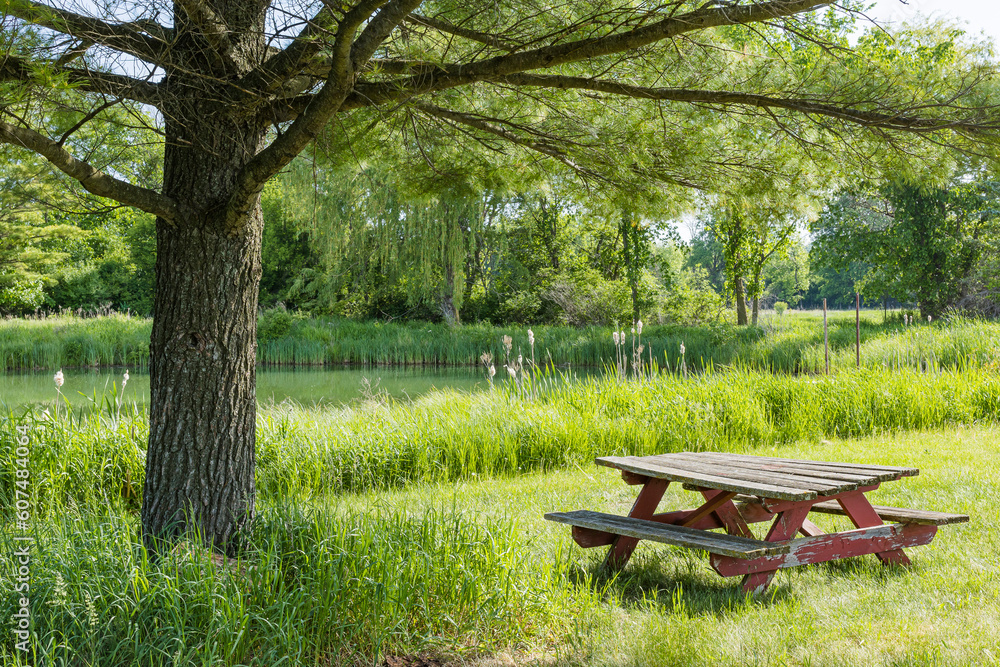 Photo A red picnic table under a pine tree along a quiet pond in the ...