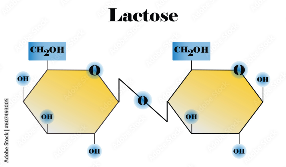illustration of biology and chemistry, Lactose molecule, Chemical ...