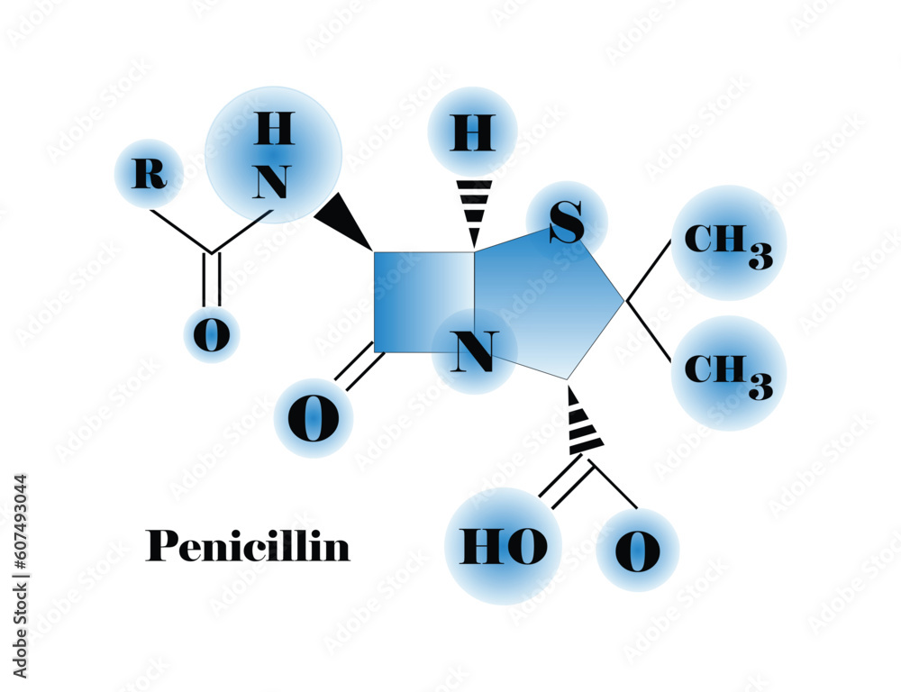 illustration of biology and medical, Penicillin atom, chemical ...