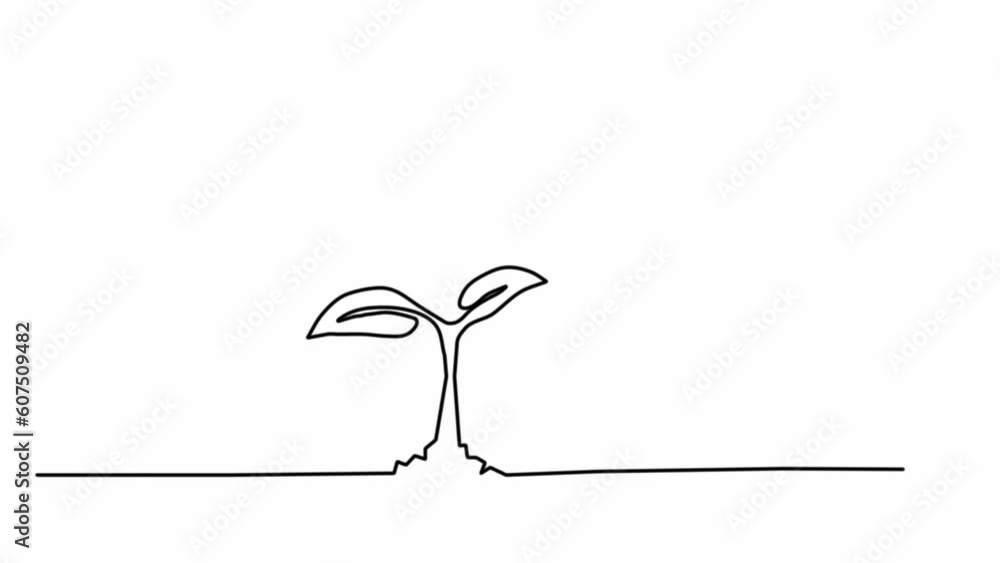 Animated continuous line of art is growing sprouts. Plant seed leaves ...