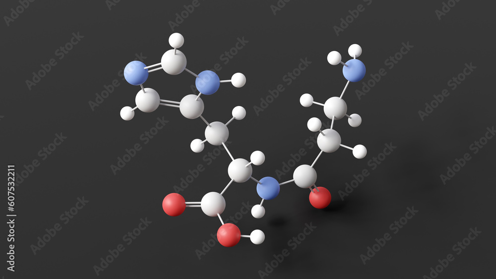 carnosine molecule, molecular structure, l-carnosine, ball and stick 3d ...