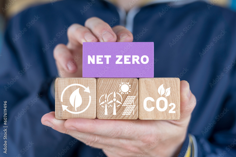 Man Holding Colorful Blocks With Icons And Inscription Net Zero