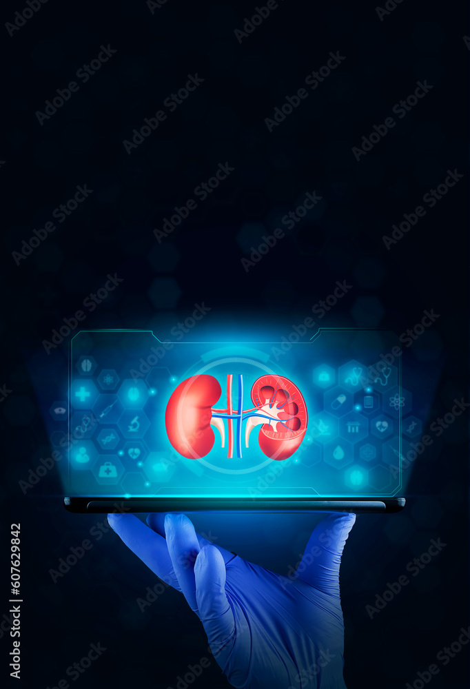 Nephrology. Kidneys, kidney pain, kidney cysts, kidney failure, cancer ...