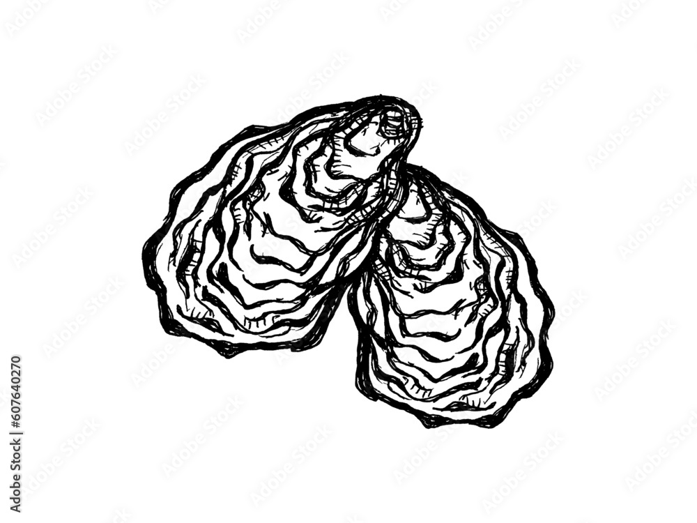 Oysters vector icon. Isolated illustration of an oyster shell. A seafood delicacy. Sketch of ...