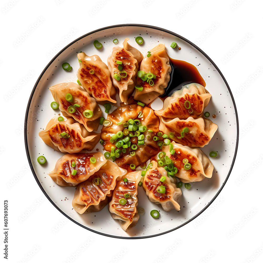 Gyoza platting on aesthetic plate shot with dslr camera Stock ...
