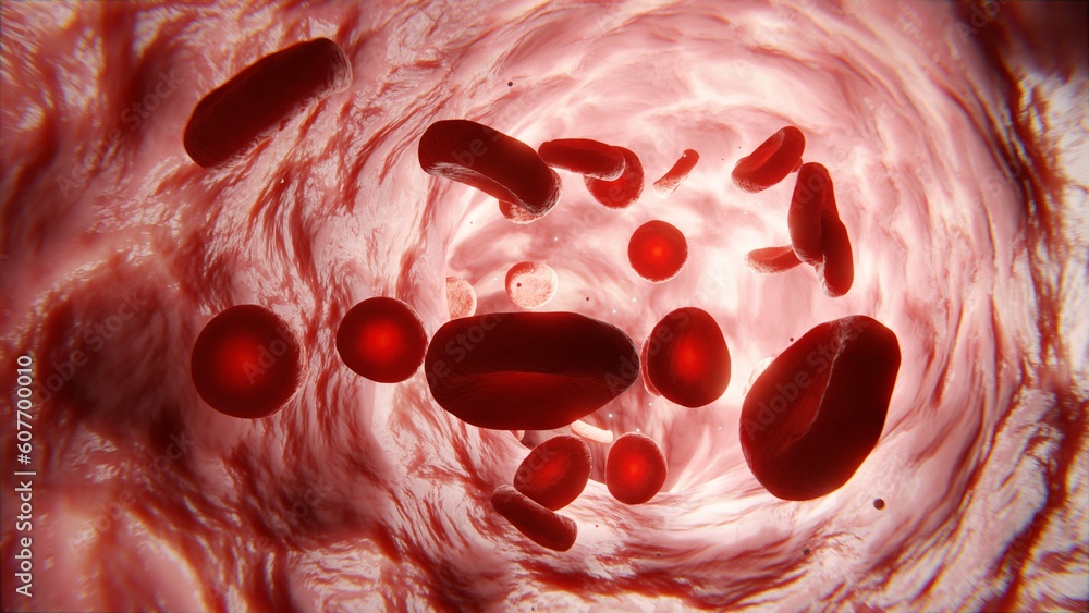 Blood in the veins, blood vessels, white blood cells and platelets ...