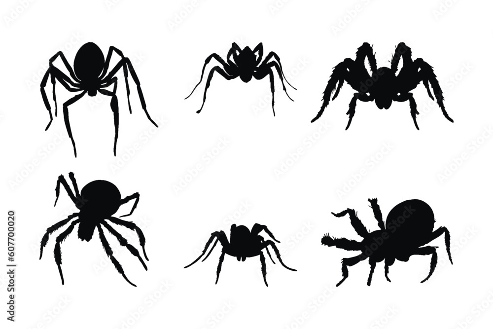 Dangerous tarantula spiders silhouette bundle. Wild insects sitting in ...