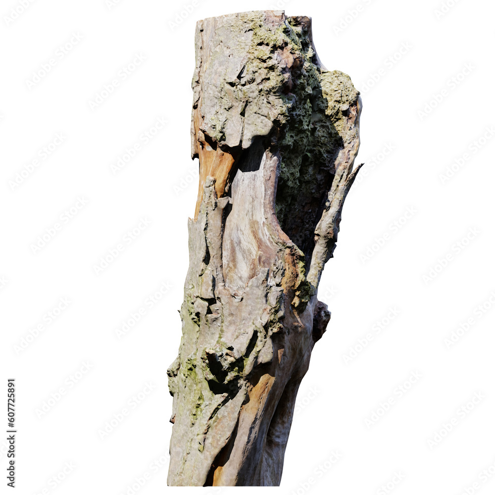 Dead Tree Log with moss, Isolated Front View, Tree cutout foto de Stock ...