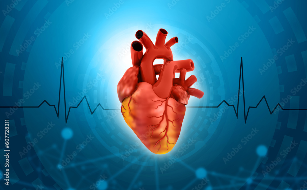 Human heart anatomy on modern medical background. 3d illustration ...