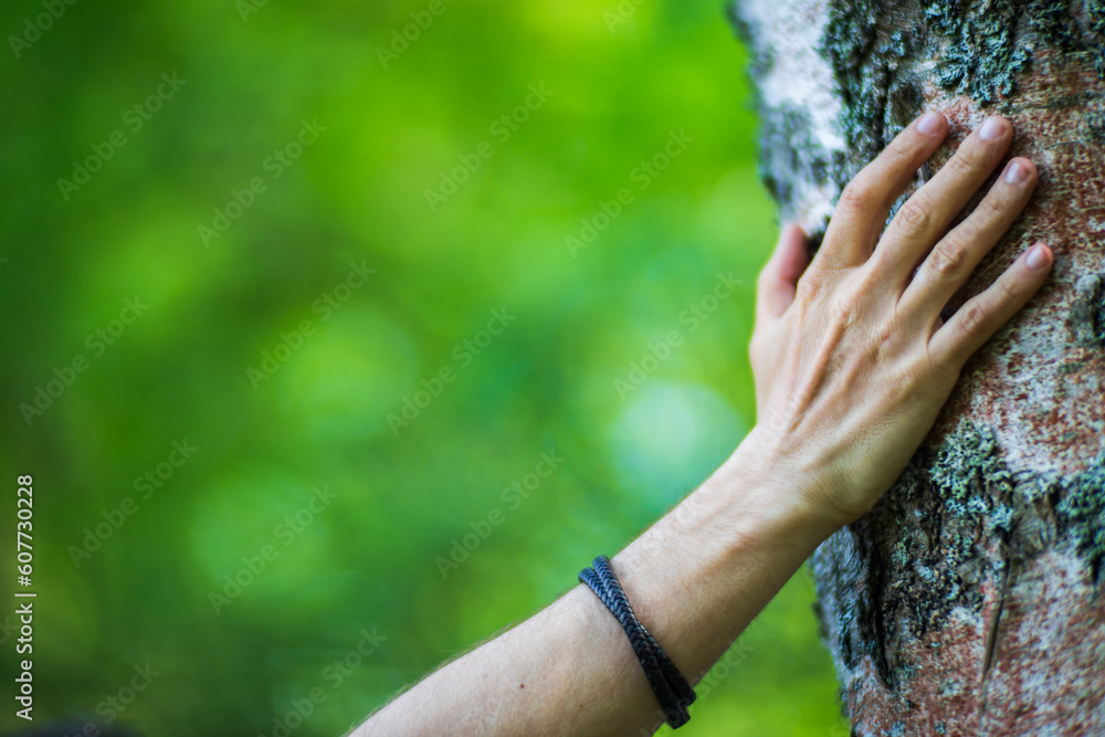 A man's hand touch the tree trunk close-up. Bark wood.Caring for the ...