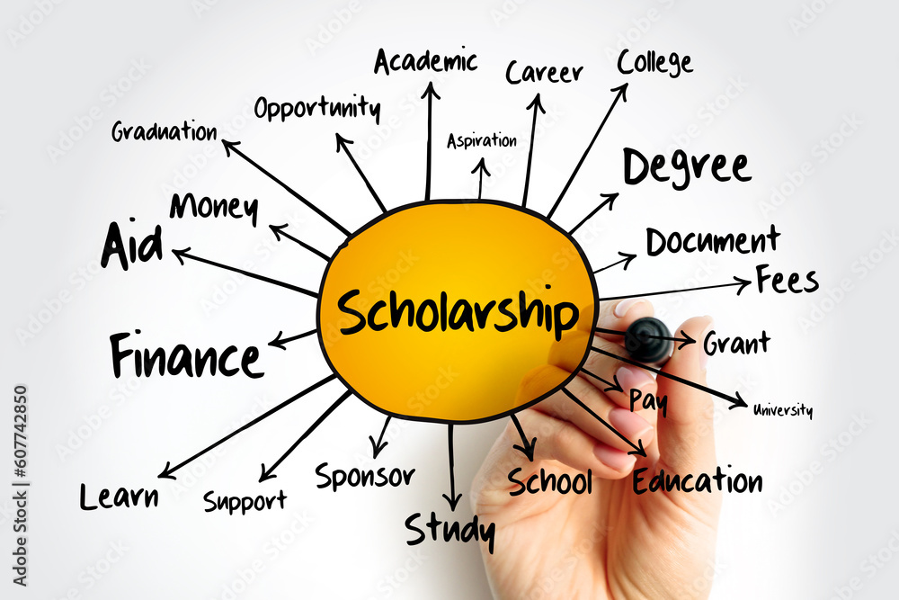 Scholarship mind map flowchart, education concept for presentations and ...
