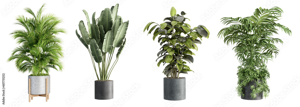 Plants in 3d rendering. Beautiful plant in 3d rendering isolated ...