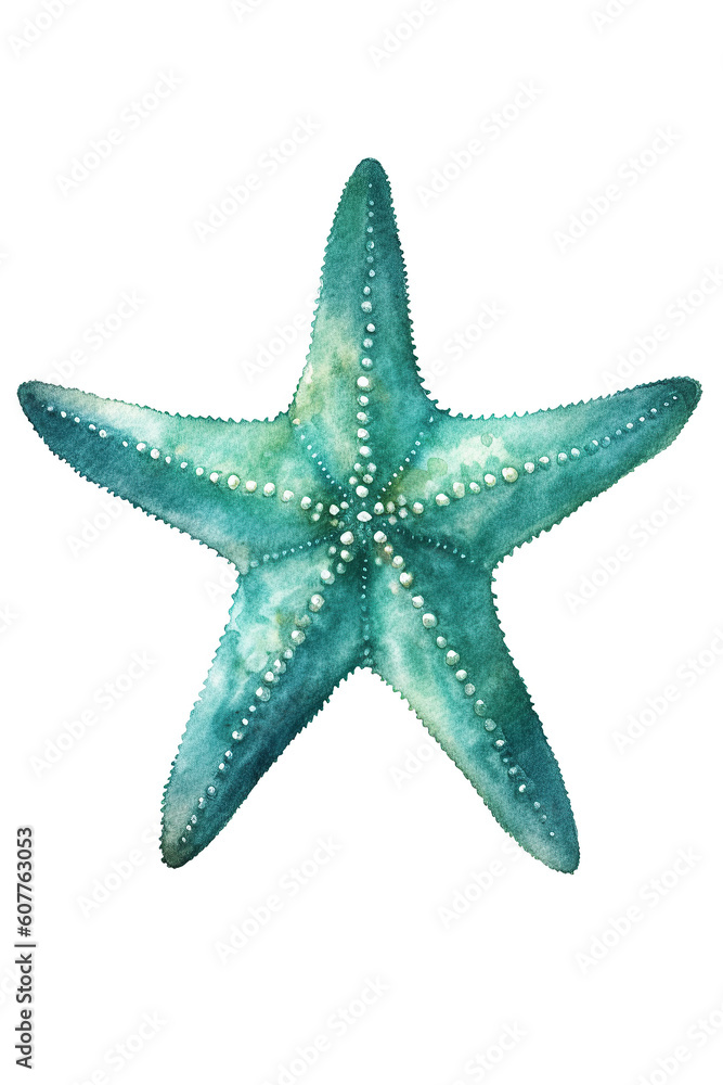 starfish watercolor clipart isolated on white background Stock ...