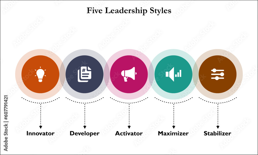 Five Leadership styles - Innovator, developer, activator, maximizer ...