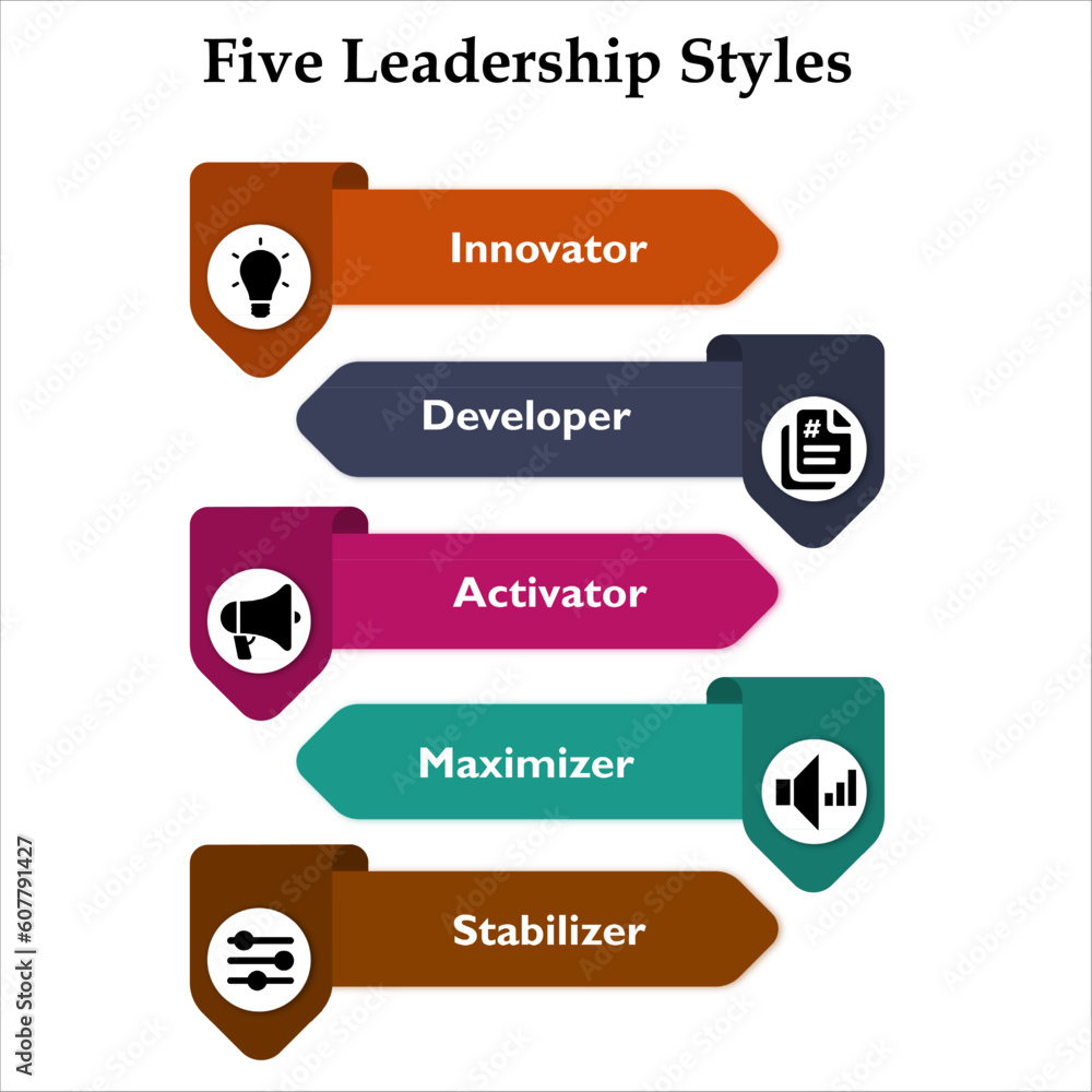Five Leadership styles - Innovator, developer, activator, maximizer ...