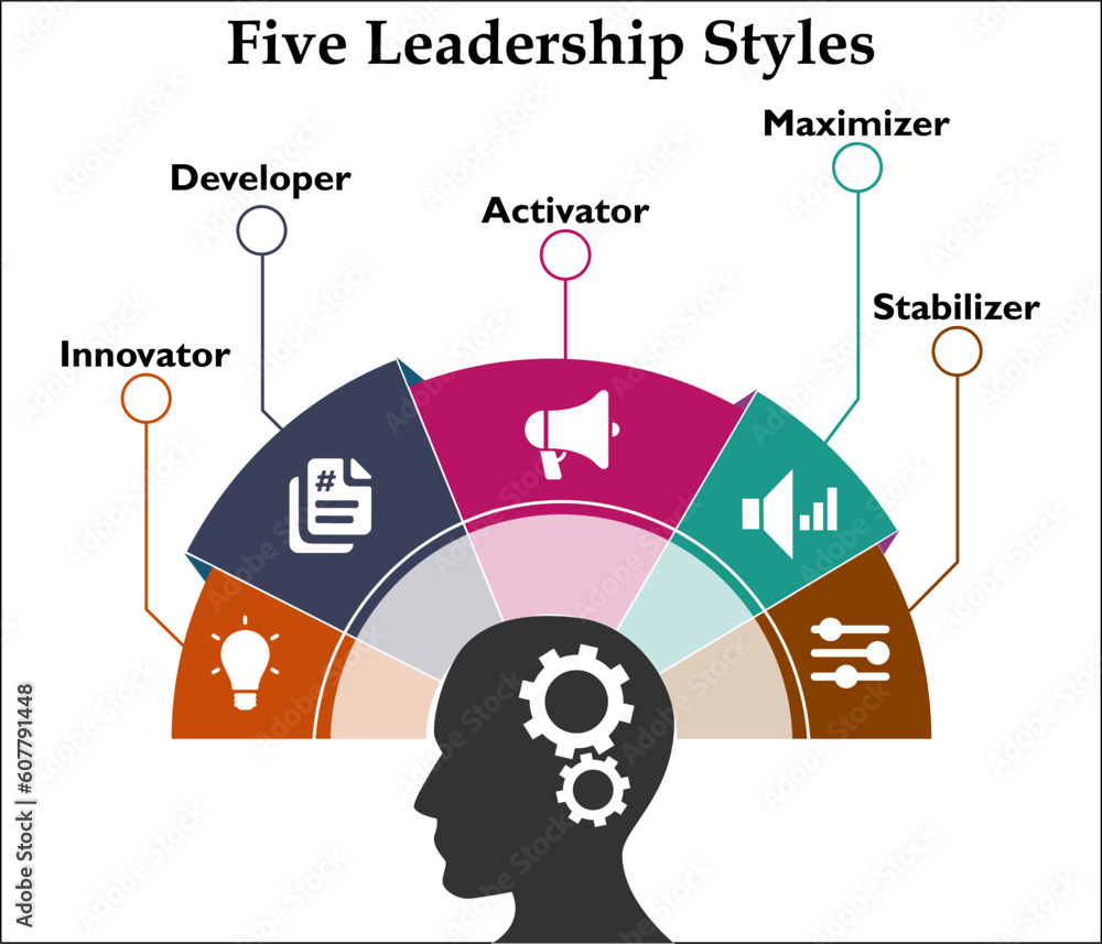 Five Leadership styles - Innovator, developer, activator, maximizer ...