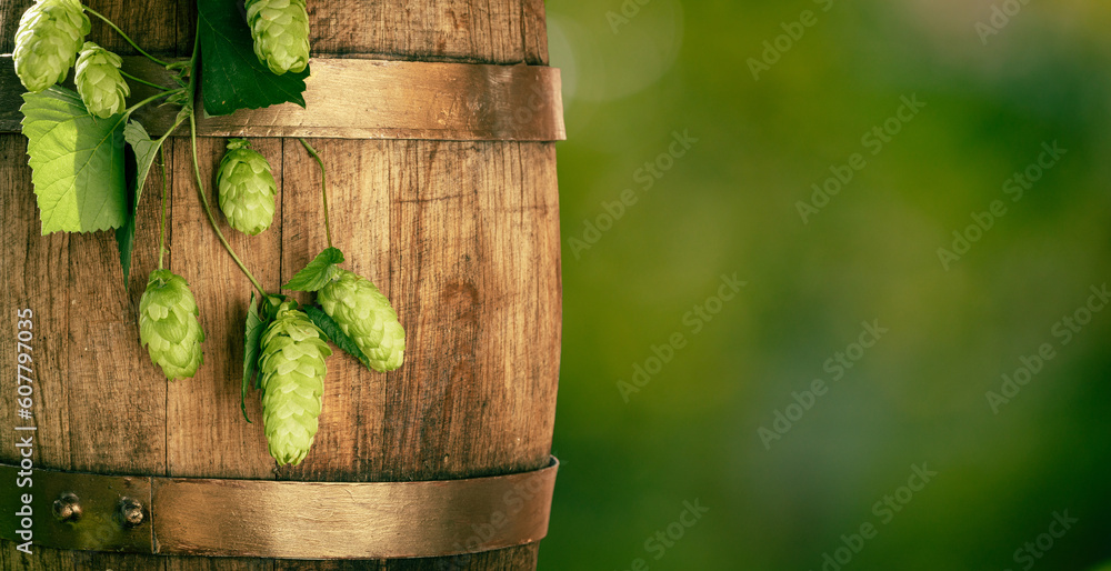 Beer brewing ingredients- hop cones on the aged barrel in front of the ...