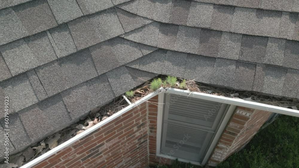 Small trees begin growing in metal gutters clogged with leaves and ...