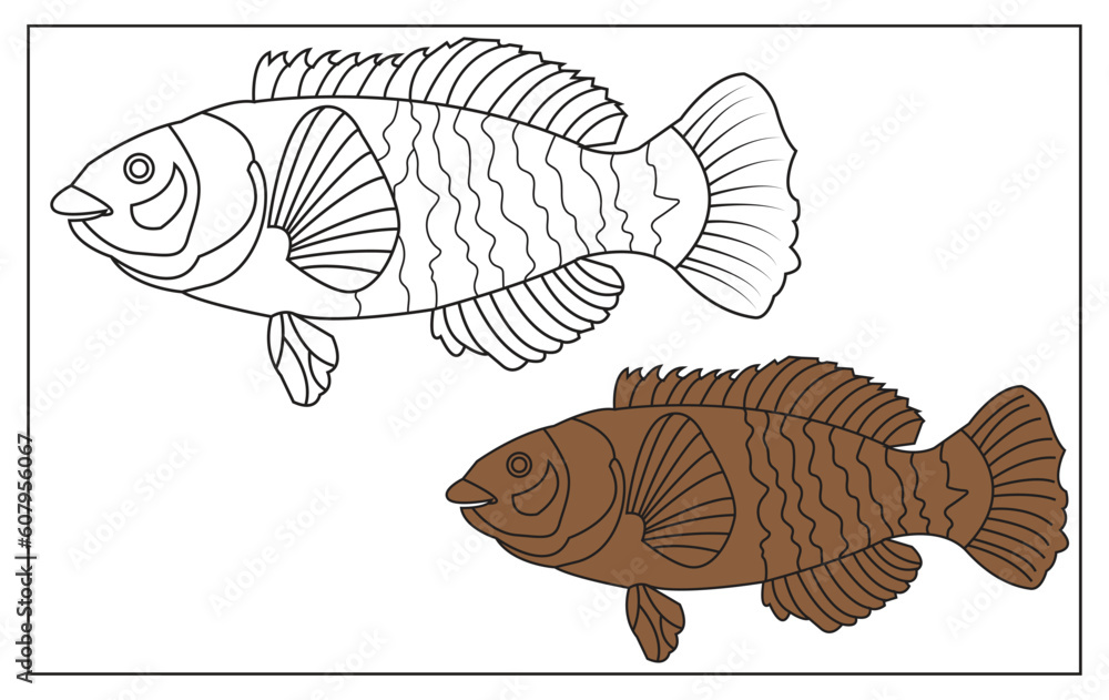 Fish line art, fish hand drawing vintage engraving illustration. Fish ...