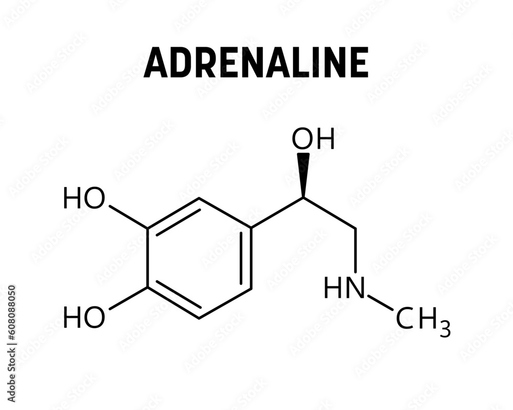 Adrenaline molecular structure. Adrenaline, or epinephrine, is a ...