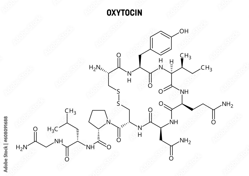 Oxytocin molecular structure. Oxytocin, the hormone of love, produced ...