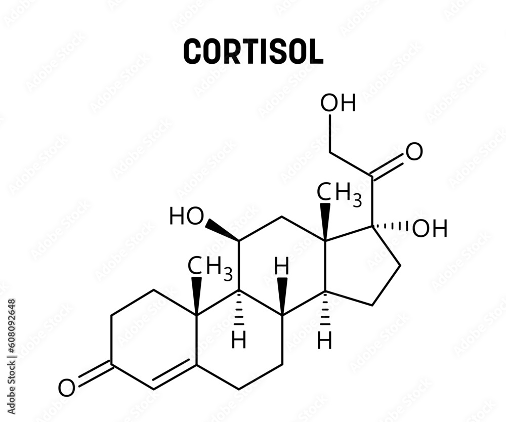 Cortisol molecular structure. Cortisol is a steroid hormone regulating ...