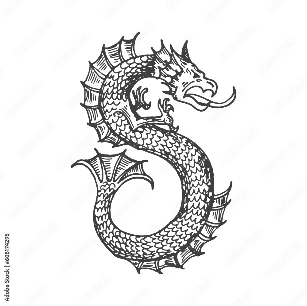 Dragon medieval heraldic animal monster sketch. Magic sea dragon ...