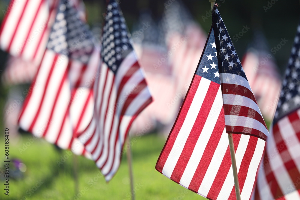 Foto de Memorial Day Ceremony, American Flags Flying on Veterans ...